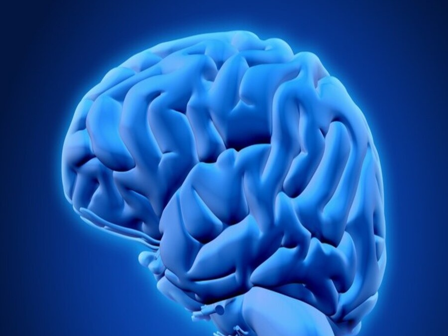 7 Amazing Memory Techniques Used By World Memory Champions