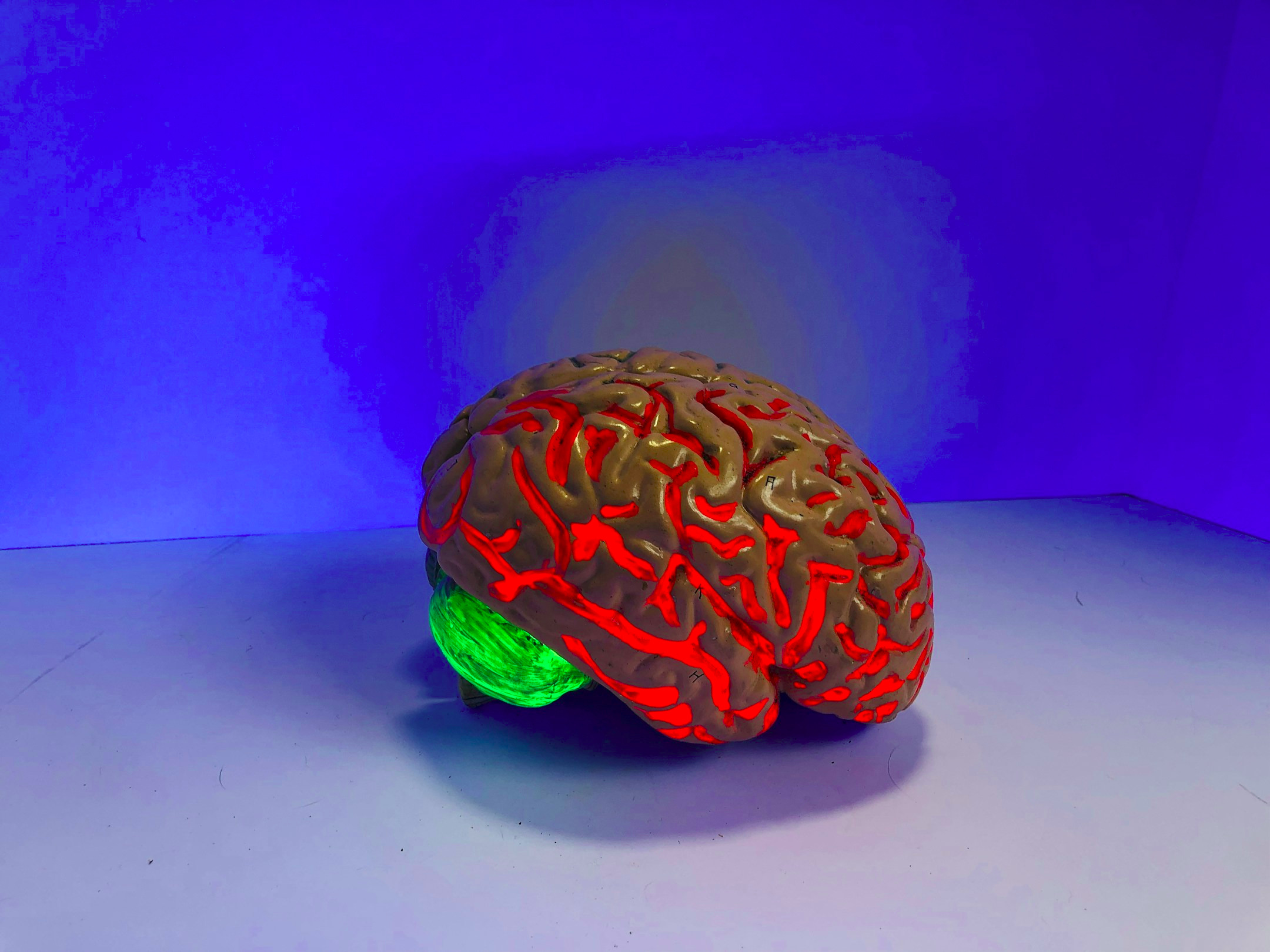 8 Effective Ways to Sharpen and Strengthen Your Memory